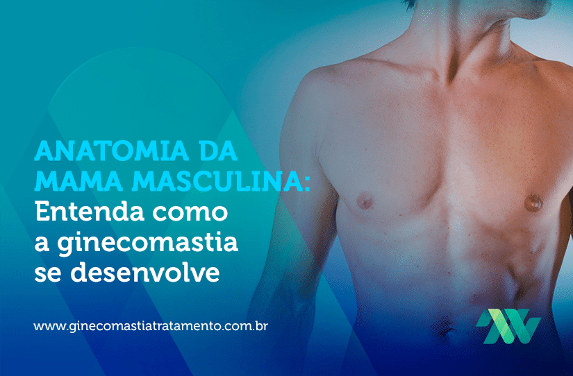 Anatomia da Mama Masculina: Desenvolvimento da Ginecomastia